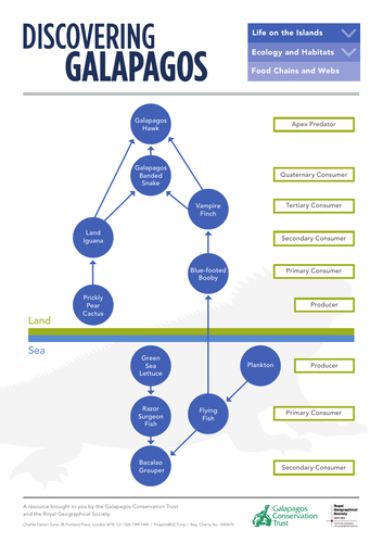 Food chains and webs (Galapagos Study) | Teaching Resources