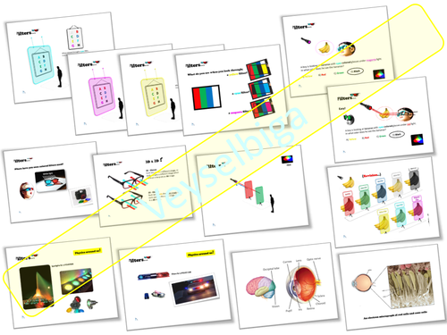 Dispersion of Light; (Visible Light Spectrum/Colors/Filters/Paints ...