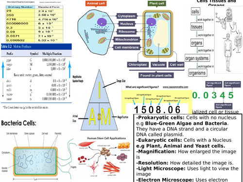 AQA GCSE 9-1 Biology Cells and Microscopy revision Mat | Teaching Resources