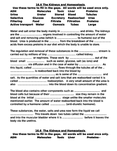 New AQA A'level Biology _Homeostasis_the role of nephron in ...