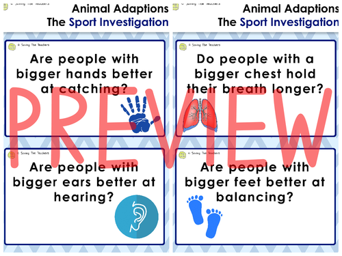Animal Adaptions: Sports Investigation | Teaching Resources