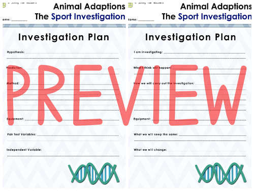 Animal Adaptions: Sports Investigation | Teaching Resources