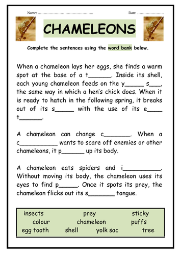 Chameleons - Fact Sheet + Worksheet + Word search | Teaching Resources
