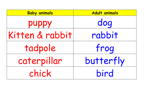 Baby and Adult Animals | Teaching Resources