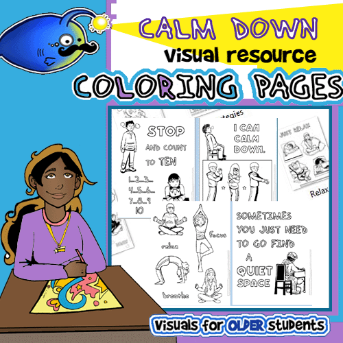 Calm Down Visuals Kit BUNDLE for OLDER Students! Cards, Posters ...