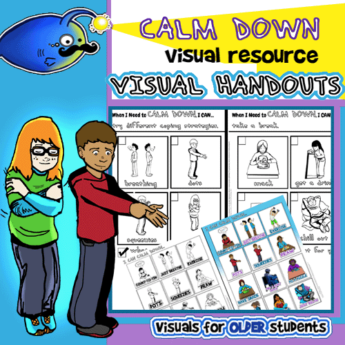 Calm Down Visuals Kit BUNDLE for OLDER Students! Cards, Posters ...
