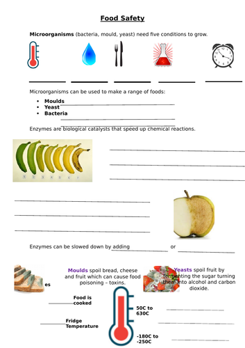 AQA Food Safety Revision - Microorganisms, Enzymes, Key Temperatures ...