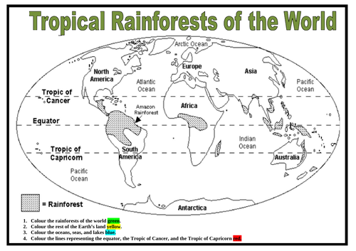 Endangered Rainforests and Animals - Unit of Work | Teaching Resources