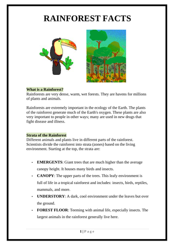 Endangered Rainforests and Animals - Unit of Work | Teaching Resources