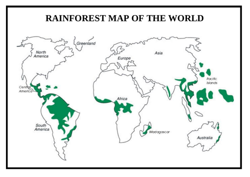 Endangered Rainforests and Animals - Unit of Work | Teaching Resources