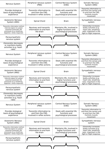 Divisions of the Nervous System Card sort. Now with ANSWERS | Teaching ...