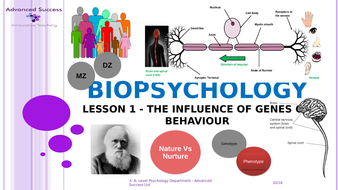 Powerpoint - Biopsychology - Week 1 - The influence of genes on ...