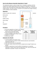 Anaerobic Respiration in Yeast - Practical | Teaching Resources