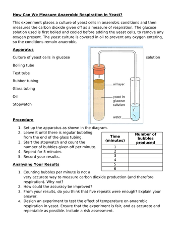 Anaerobic Respiration in Yeast - Practical | Teaching Resources