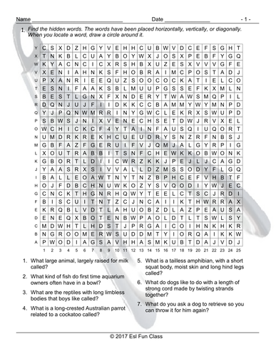 Pets-Pet Care Word Search Worksheet | Teaching Resources