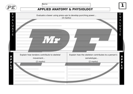 EXAM Q PYRAMIDS Anatomy & Physiology | Teaching Resources