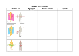 AQA A level PE Anatomy and Physiology Worksheets and Student/Teacher ...