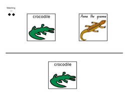 Crocodile: Aboriginal poem and activities | Teaching Resources