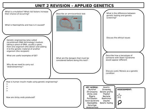 GCSE Biology Applied Genetics Revision Mat | Teaching Resources