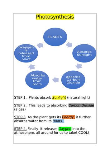 Photosynthesis | Teaching Resources