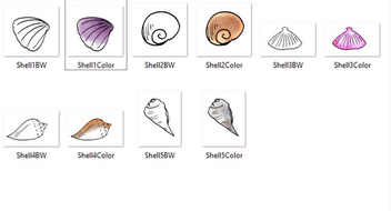 Seashells 10 pc. Clip-Art Set ( 5 BW and 5Color) | Teaching Resources