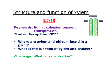 Xylem and transpiration AQA Biology A level | Teaching Resources