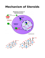 Steroid mechanism | Teaching Resources