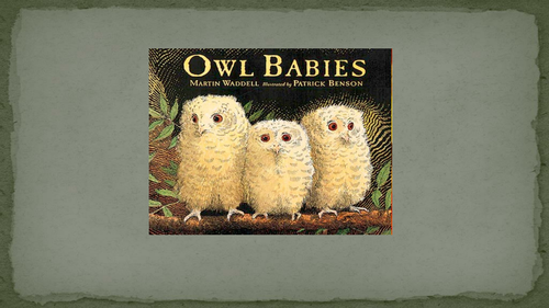 Owl Babies story map and text for EYFS and Lower KS1 | Teaching Resources
