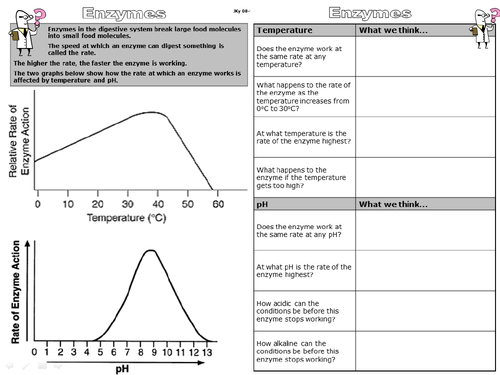 Enzymes New GCSE | Teaching Resources