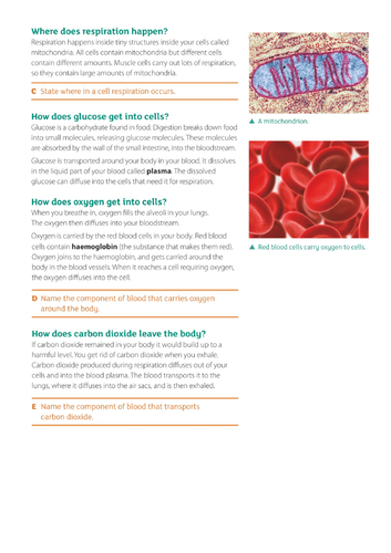 Response to exercise lesson and resources - new gcse | Teaching Resources