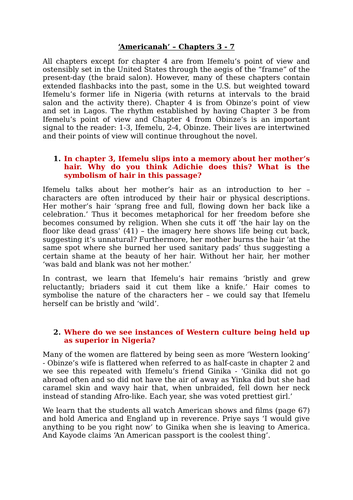 Adichie's 'Americanah!' - Lesson 2, chapters 3-7 | Teaching Resources