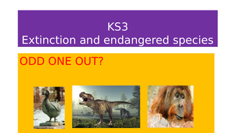 KS3 Extinct and Endangered species for low-level students | Teaching ...