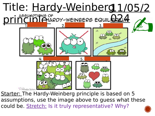 Hardy Weinberg principle - complete lesson (A2) | Teaching Resources