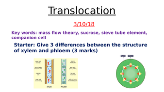 Translocation in the phloem | Teaching Resources