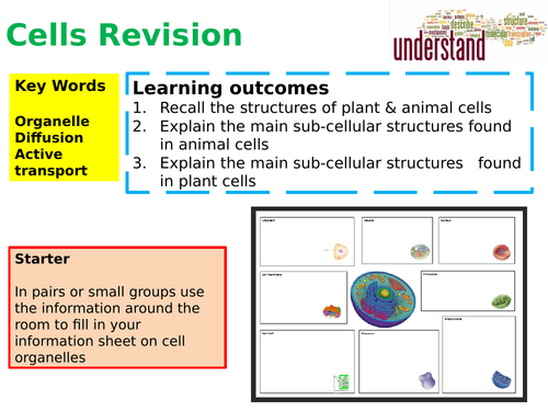 AQA 1-9 GCSE Biology (Science) Cells Work Booklet & Revision Lesson ...