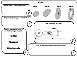 New GCSE - Biology Paper 1 revision sheets | Teaching Resources