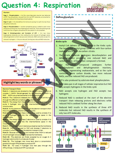 3 New Spec OCR A Level Biology Specimen Papers Workbooks | Teaching ...