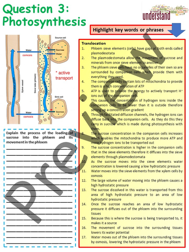 3 New Spec OCR A Level Biology Specimen Papers Workbooks | Teaching ...