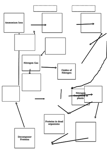 The Nitrogen Cycle | Teaching Resources
