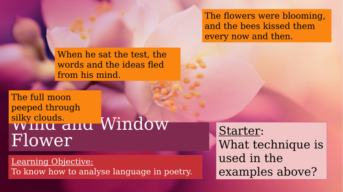Personification in Poetry: Wind and the Window Flower | Teaching Resources