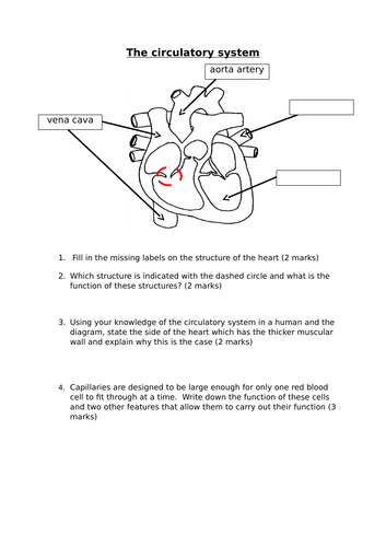 OCR GCSE Biology B2 REVISION (Scaling up) | Teaching Resources