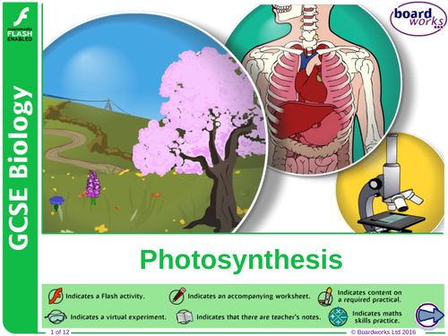 Photosynthesis - Inverse square law | Teaching Resources