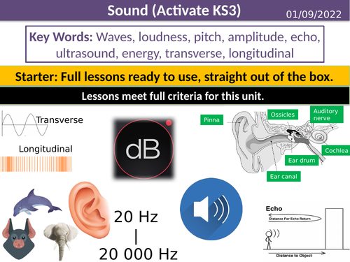 Echoes and Ultrasound | Teaching Resources