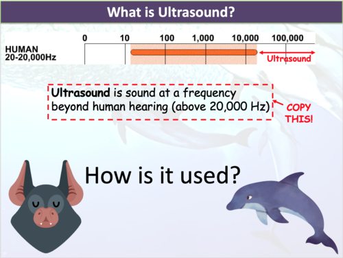 Echoes and Ultrasound | Teaching Resources