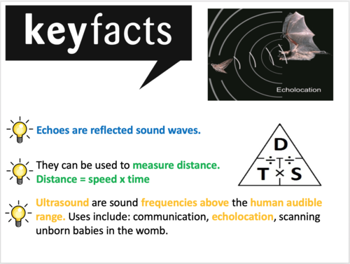 Echoes and Ultrasound | Teaching Resources