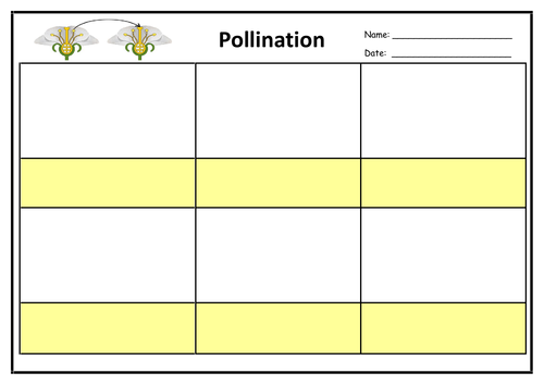 Pollination - 2 PowerPoints + Storyboard | Teaching Resources