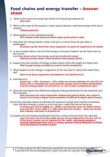 Food chains & energy transfer (updated) | Teaching Resources