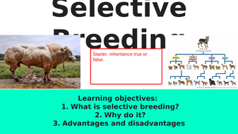 Selective Breeding Full Lesson 9-1 | Teaching Resources