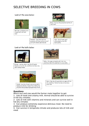 Selective Breeding Full Lesson 9-1 | Teaching Resources
