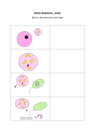 Aqa Biology Gcse Genetic Engineering And Selective Breeding Teaching